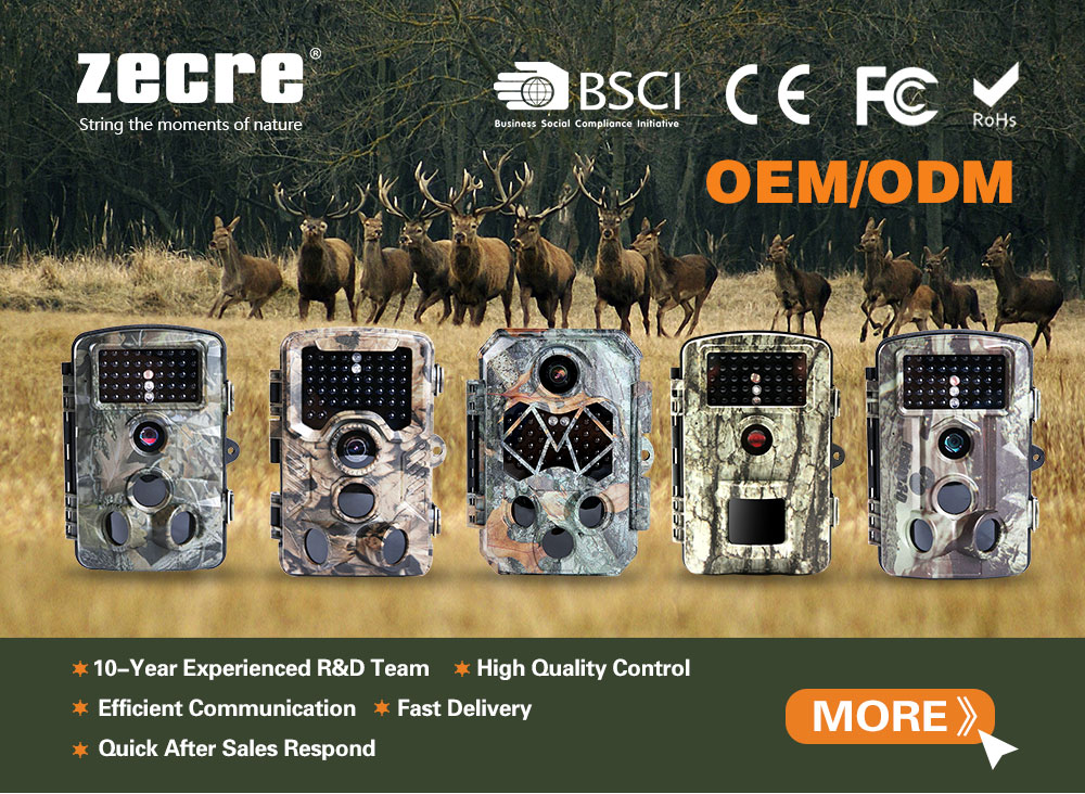 trail camera, hunting camera, night vision camera | Zecre